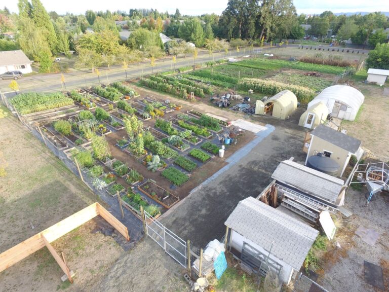How to Photograph Food Gardens - SeedMoney