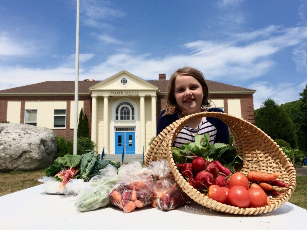 How to Start a School Garden - SeedMoney