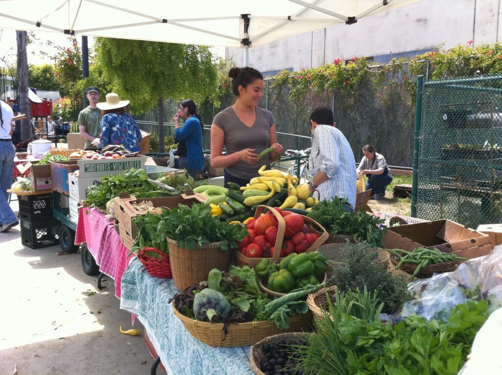 Alemany Farm: Growing Vegetables and Community in San Francisco - SeedMoney