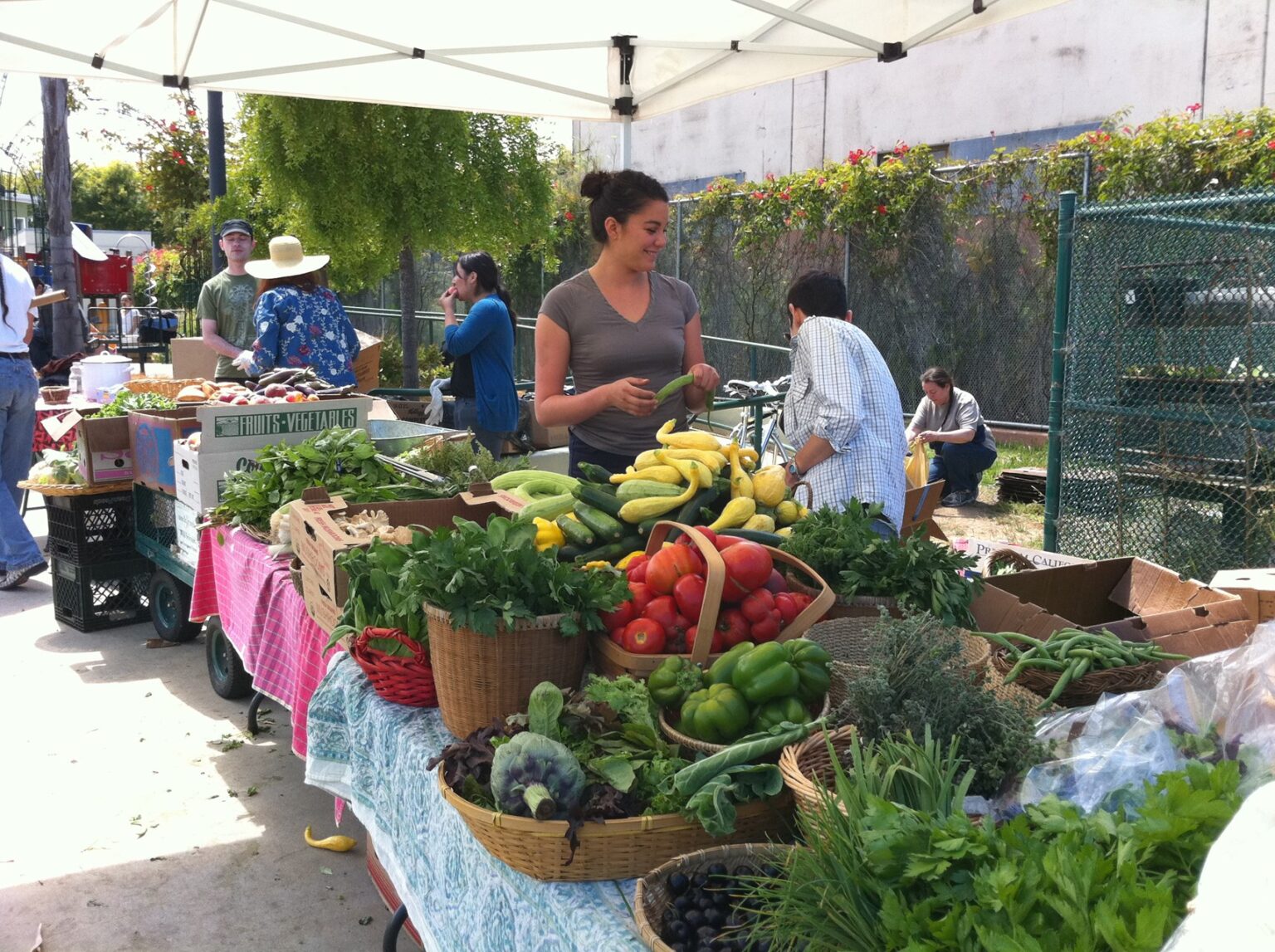 Alemany Farm: Growing Vegetables and Community in San Francisco - SeedMoney