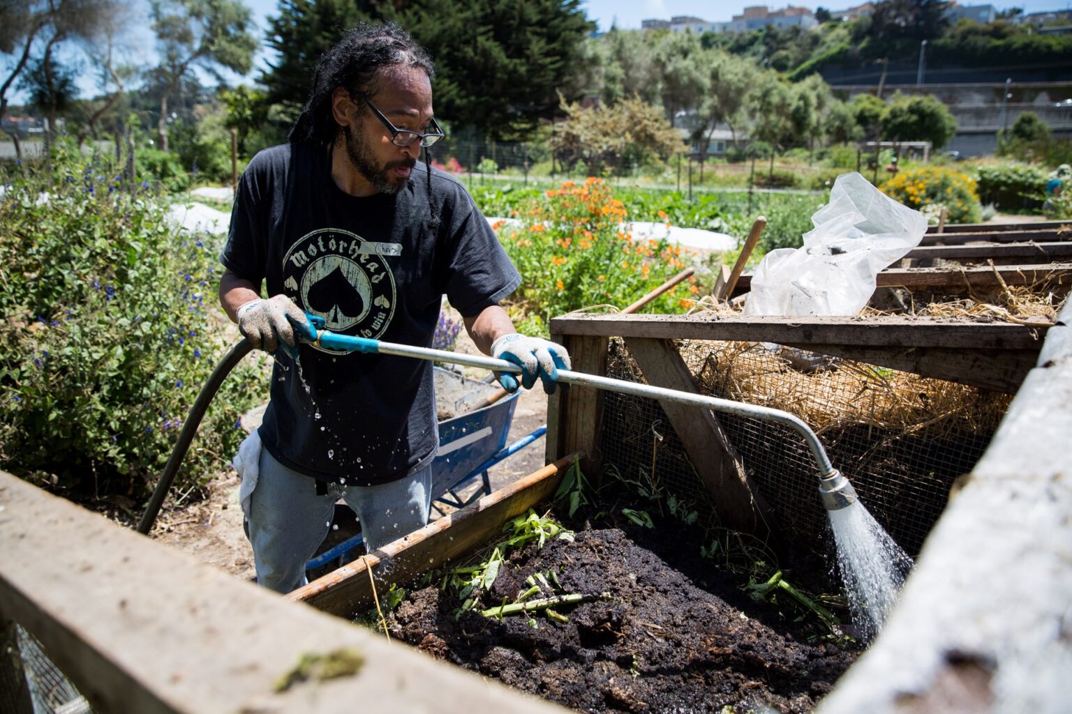 Alemany Farm: Growing Vegetables and Community in San Francisco - SeedMoney