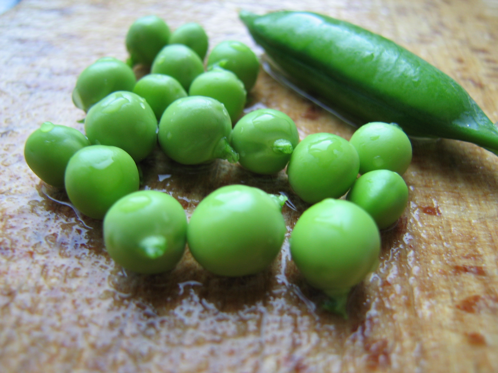 A Pea-sy Guide to Growing Peas: From Seed to Harvest - SeedMoney