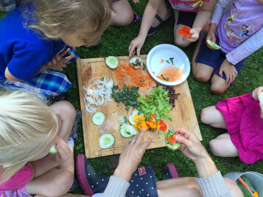 How to Make Your Garden a Worm Paradise - SeedMoney